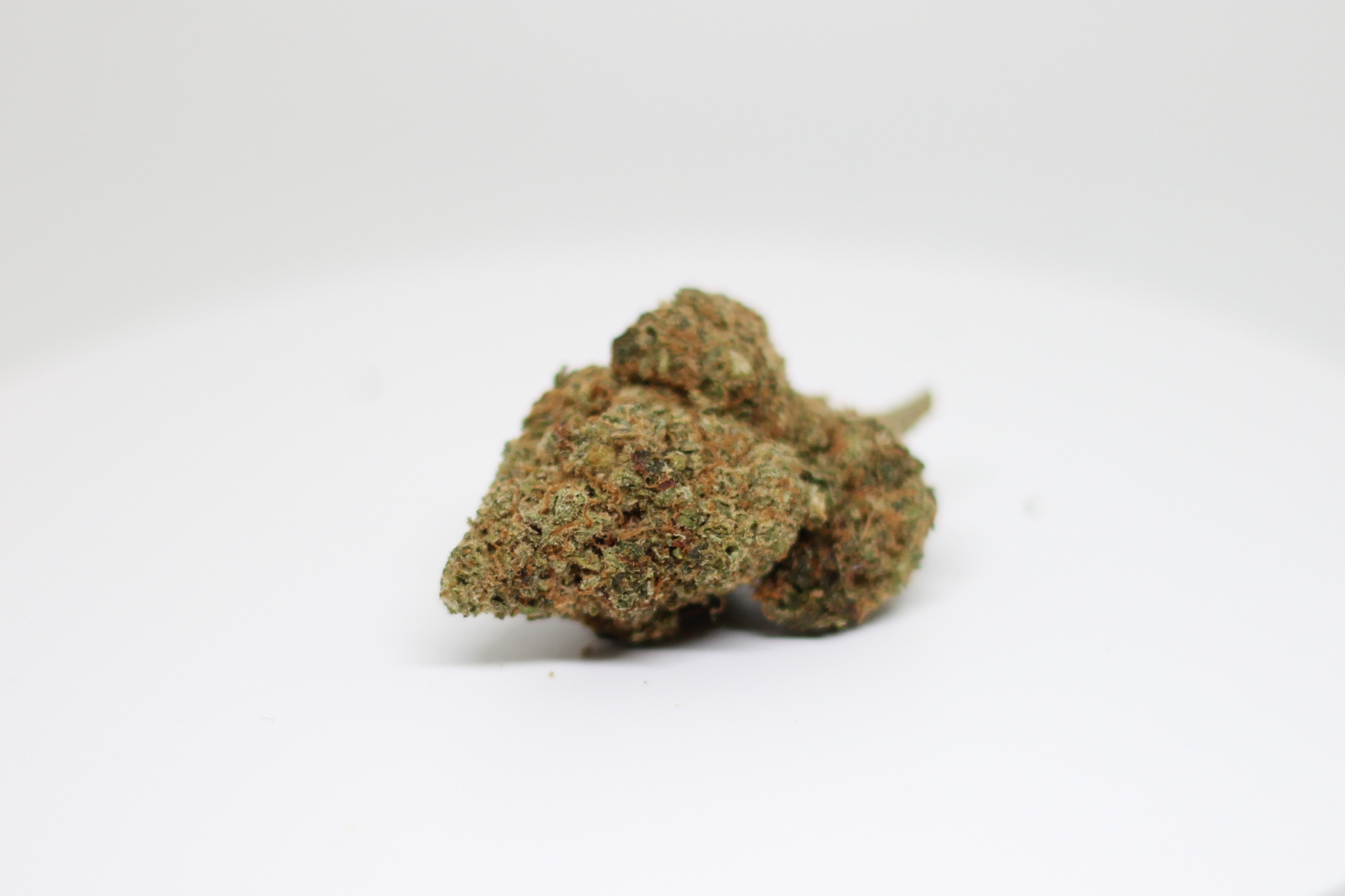 Shop – The People's Dankest